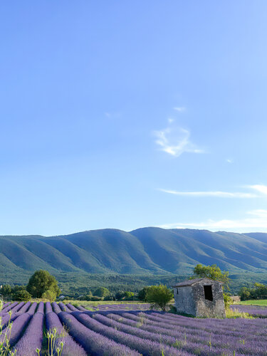 The colors of Provence by Fabio Accorrà (2024) : Photography Digital on ...