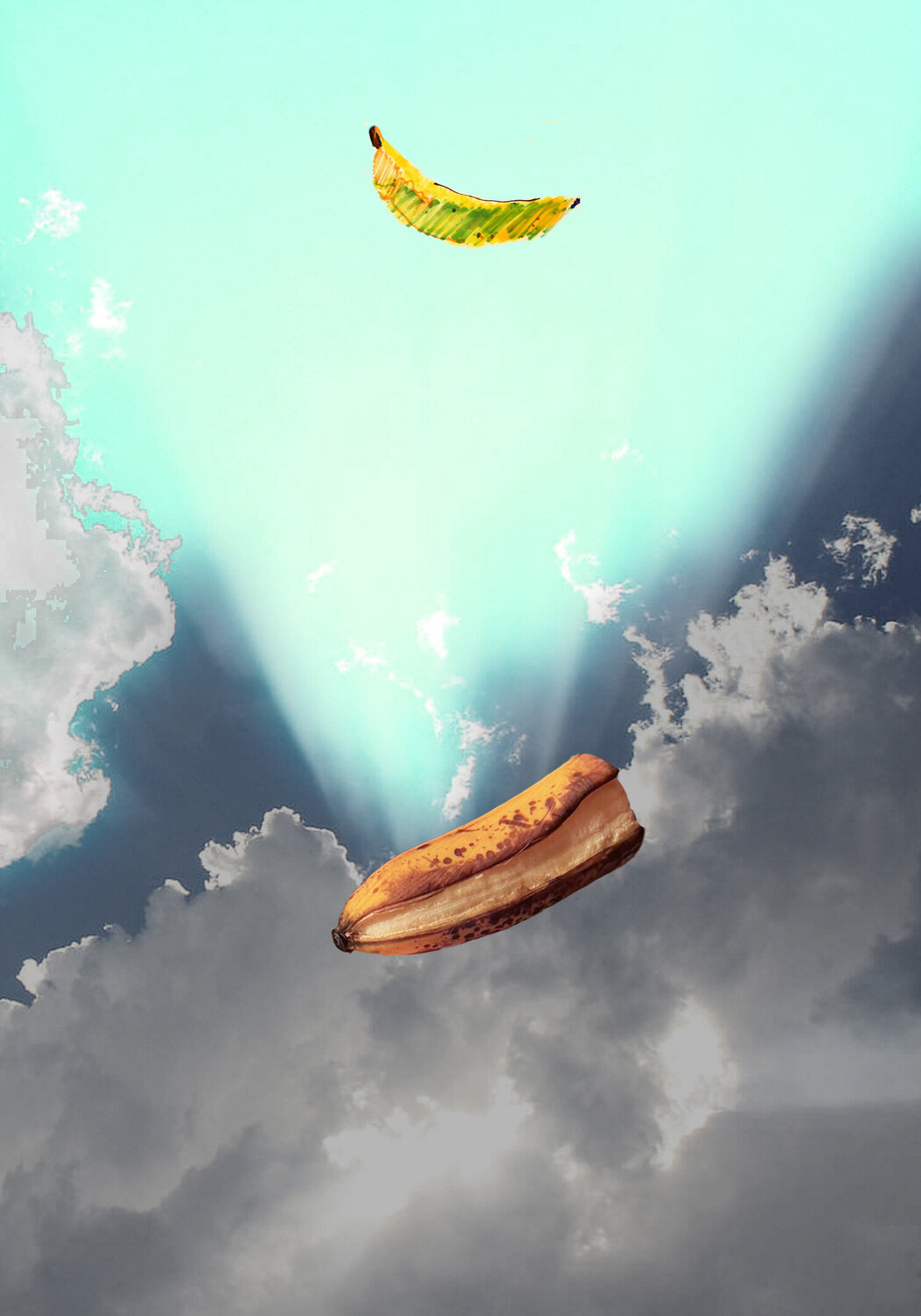 Homage To The Mysterious Ascension Of One Half Of The Cattelan Banana ...