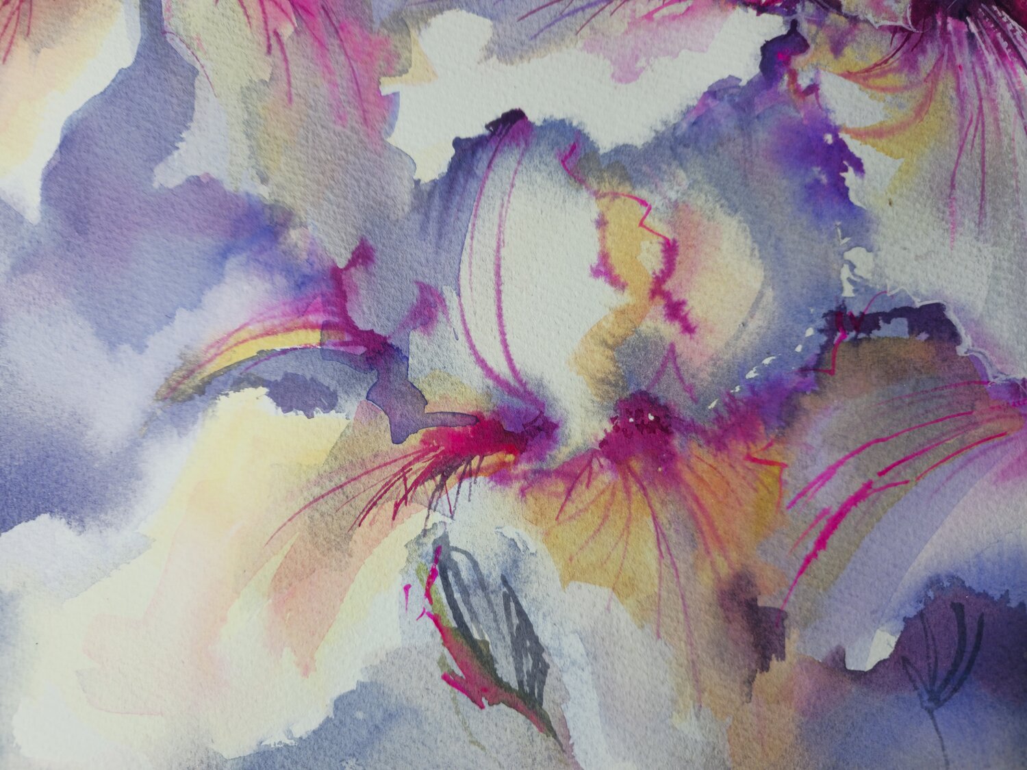 Irises blue and crazy pink. by Alla Prisacar (2026) : Painting ...