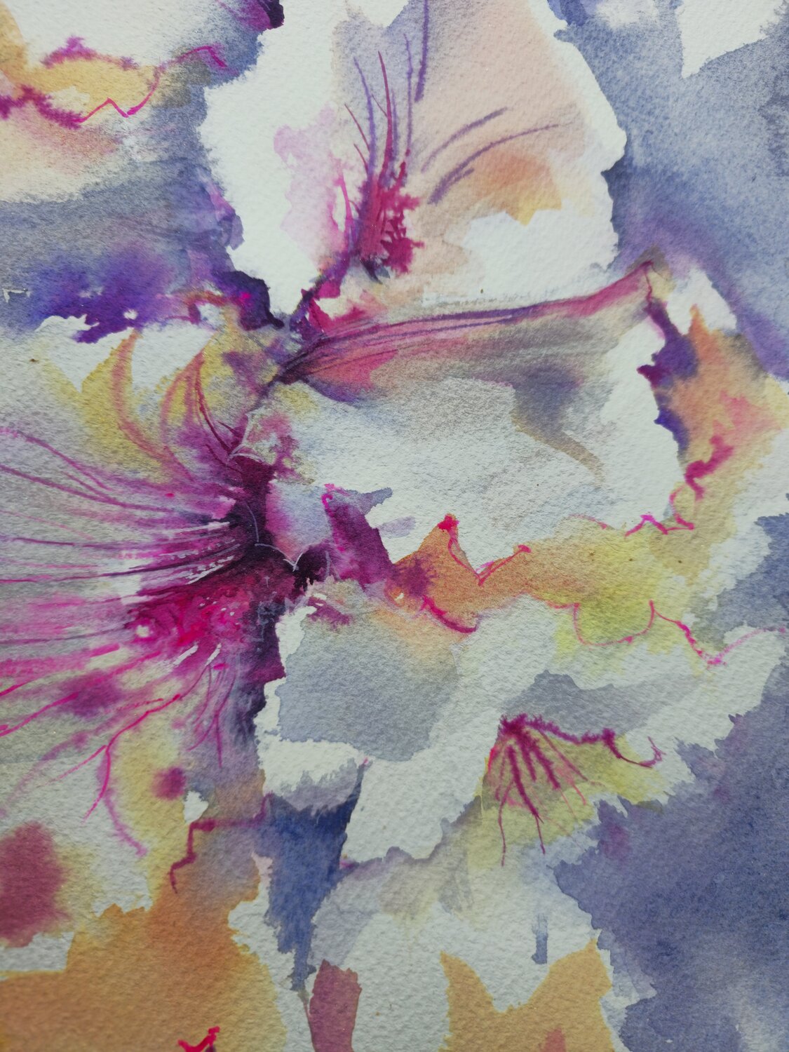 Irises blue and crazy pink. by Alla Prisacar (2026) : Painting ...
