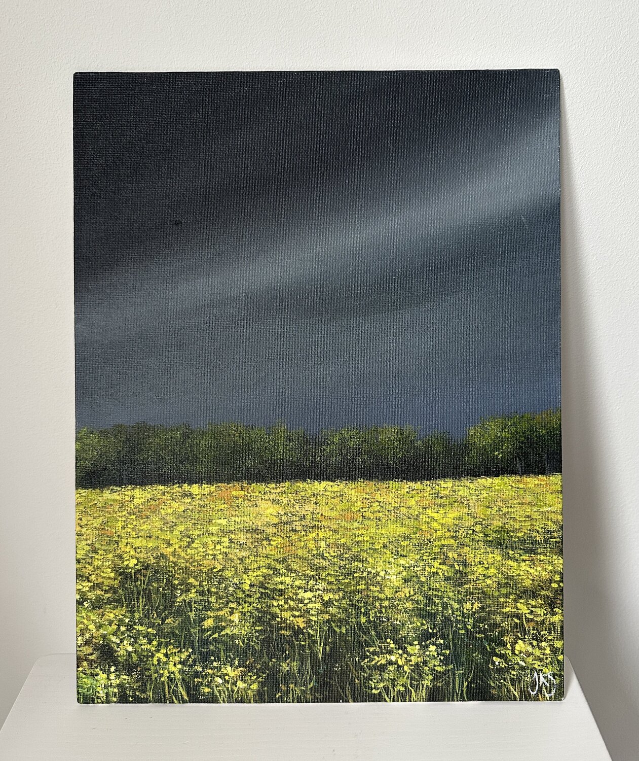 Run away de Jenna Silander (2025) : Peinture Acrylique sur Carton ...