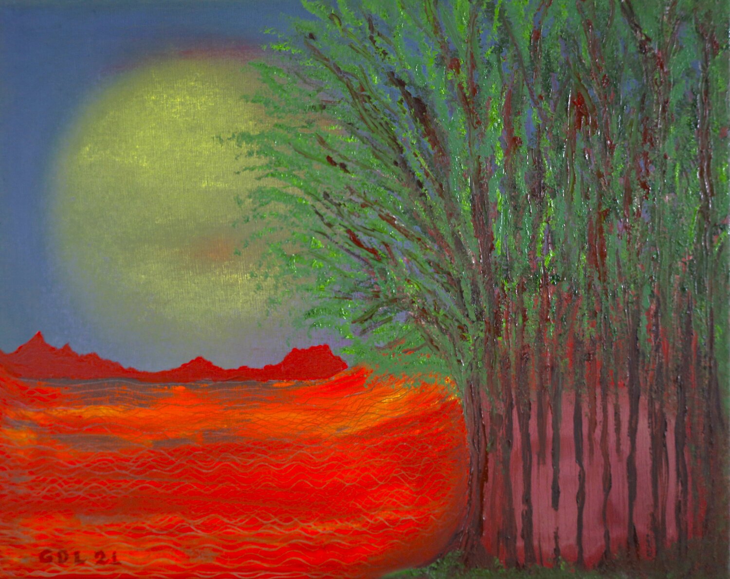 Atardecer en el bosque Gustavo de Leon