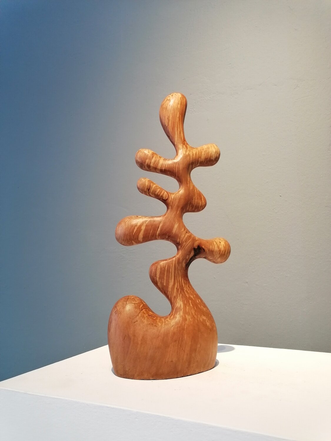 Danza de agua 4 by Nando Álvarez (2022) : Sculpture Wood - Singulart