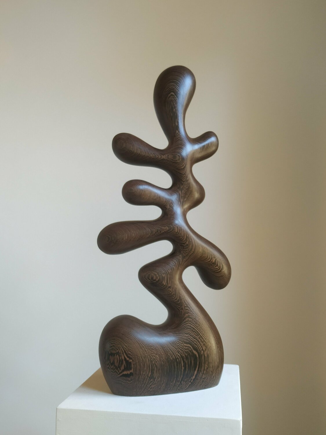 Danza de agua 3 by Nando Álvarez (2020) : Sculpture Wood - Singulart