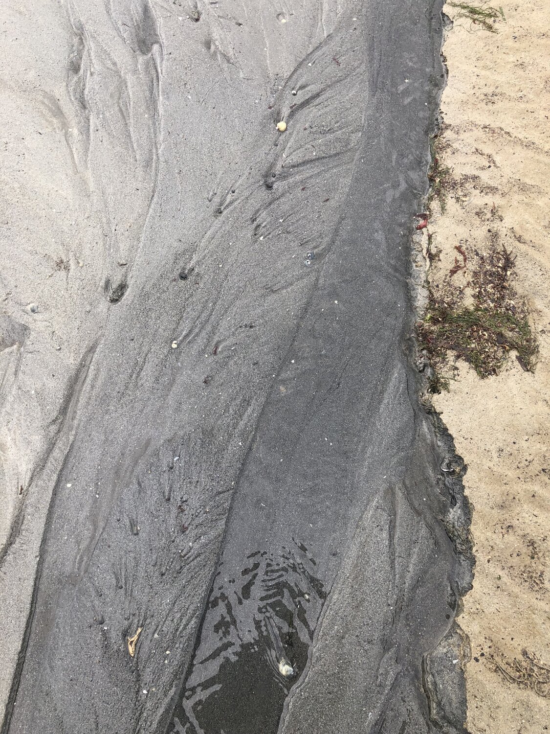 SABLES INVENTÉS 15 de Marc Feld (2024): Fotografía Digital en Papel ...