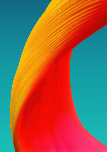 11-only:Dark orange and KU crimson twisted stem flesh by Richard Gibson ...