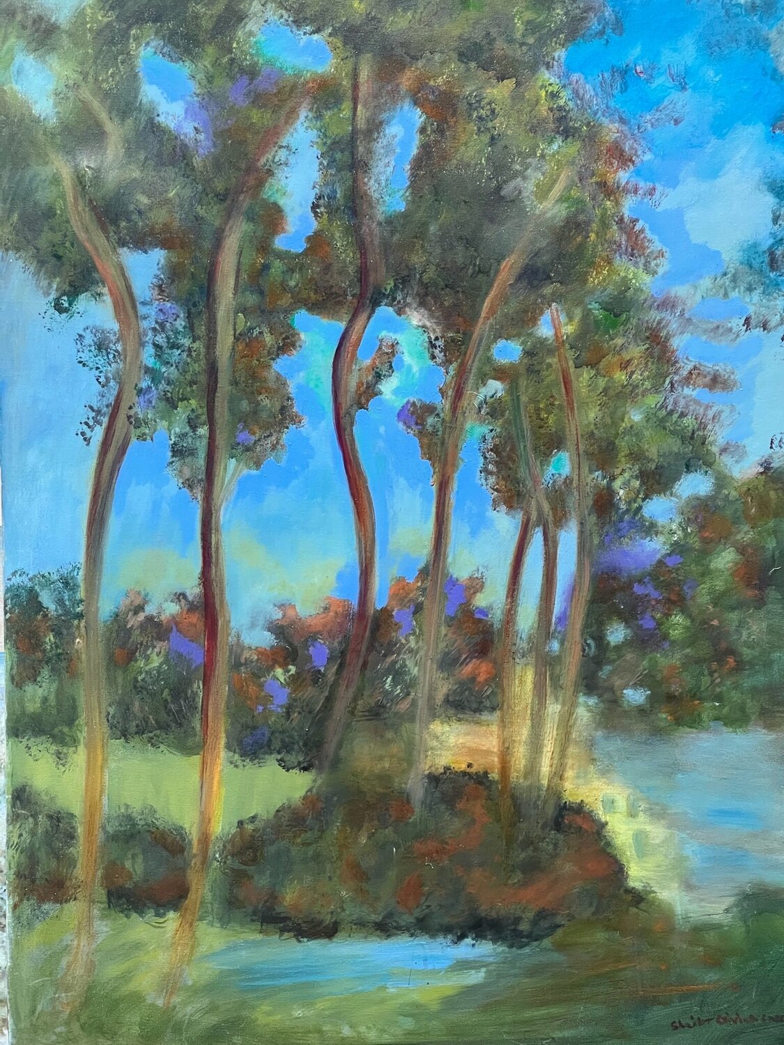 Paradise in maine Sheila Olivier-Carchidi