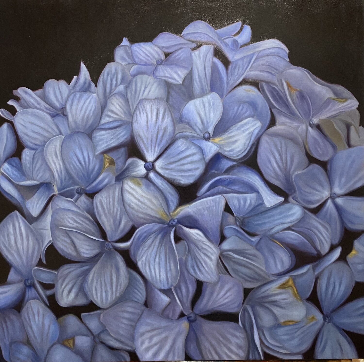 Blue Hydrangea by Suzanne Lawson (2023) : Painting Oil on Canvas ...