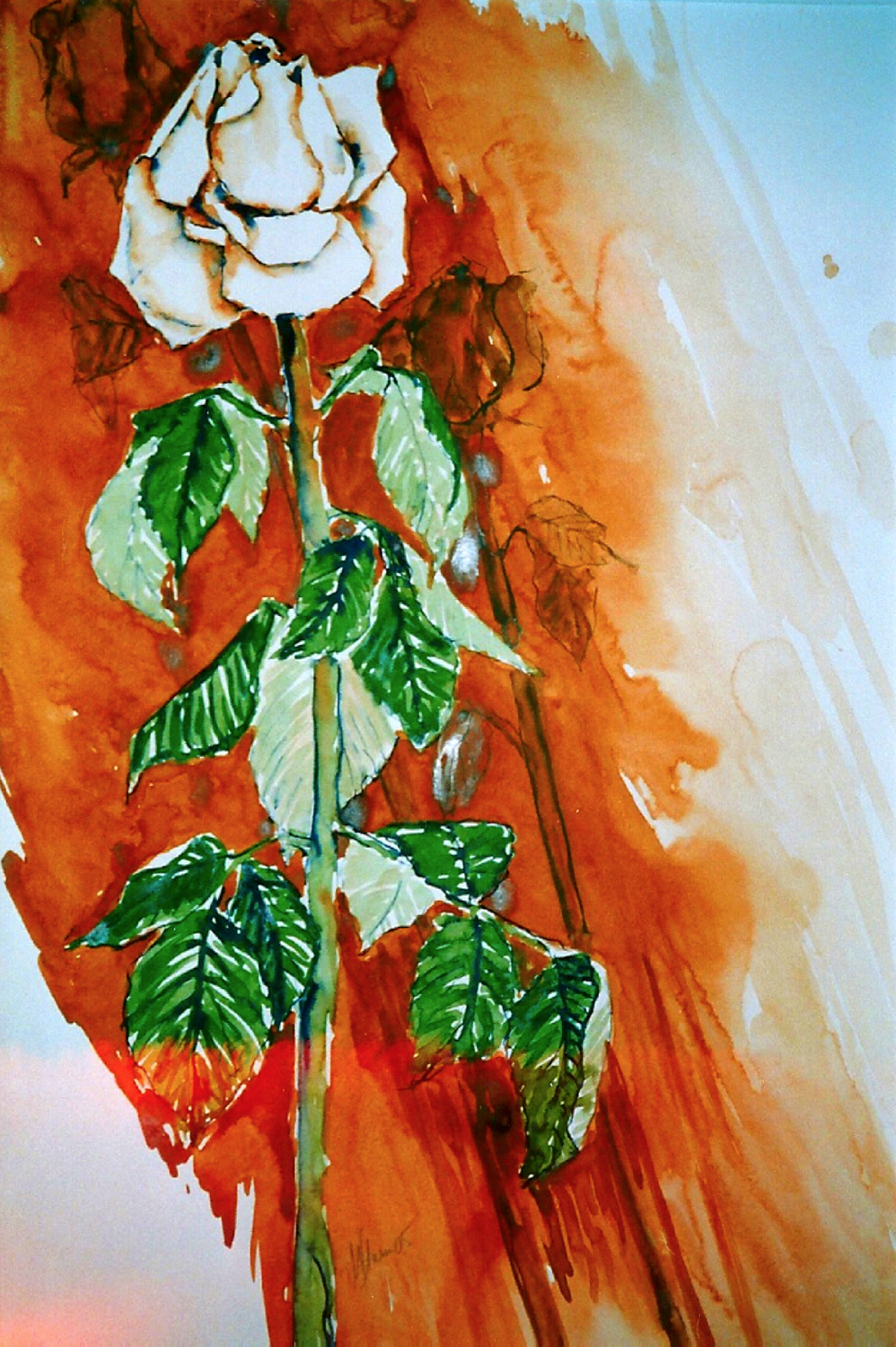 „Vergängliche Rose“ de Michaela Petra Sturm (2005) : Peinture Aquarelle ...