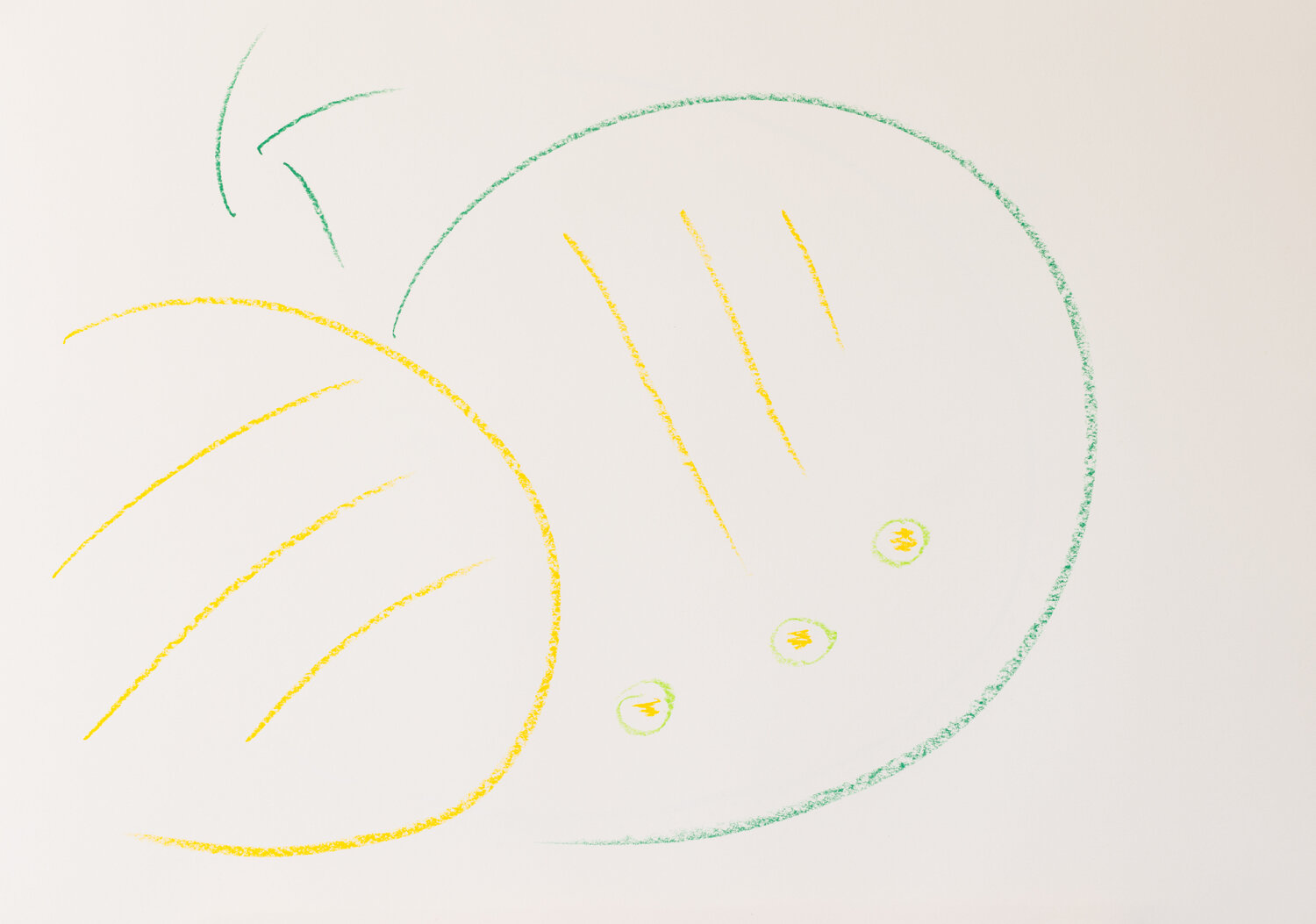 Frühling - spring de Prof. Dr. Silke Kettig (2024): Obra en papel ...