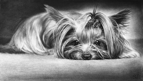 Evening in Santorini – Tranquil Oil Painting with Warm Sunset Tones by Sumarokov Vladimir (2024 ...