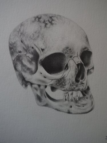 Human skull von Iwona Przybylska (2025): Zeichnungen Pastell, Graphit ...