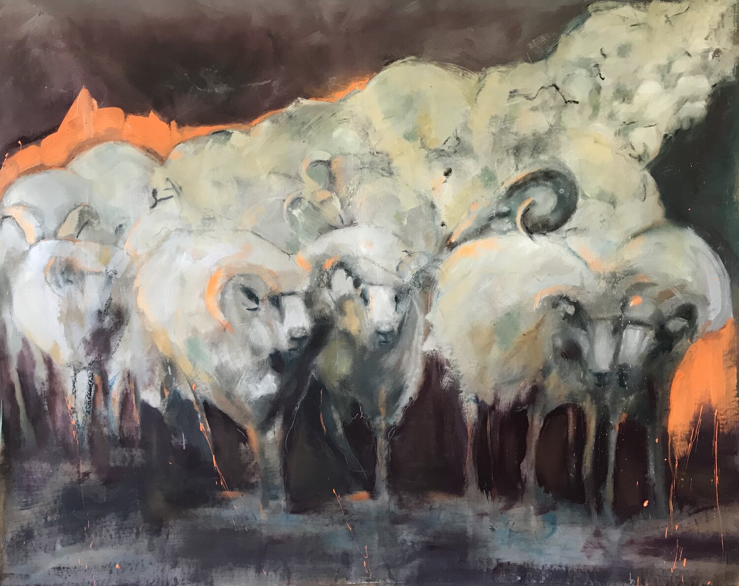 Schafherde, Widder Herde Vreni Knott