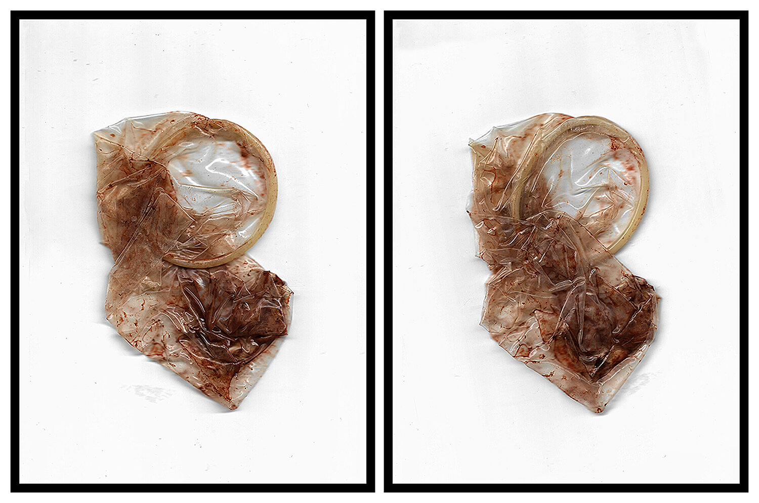 Factum I /Factum II (Updated): Regarding the Failure of Translational ...