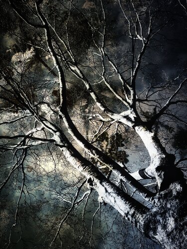 Illusions psychosensorielles n°11 by Alexandra Daoust (2024 ...