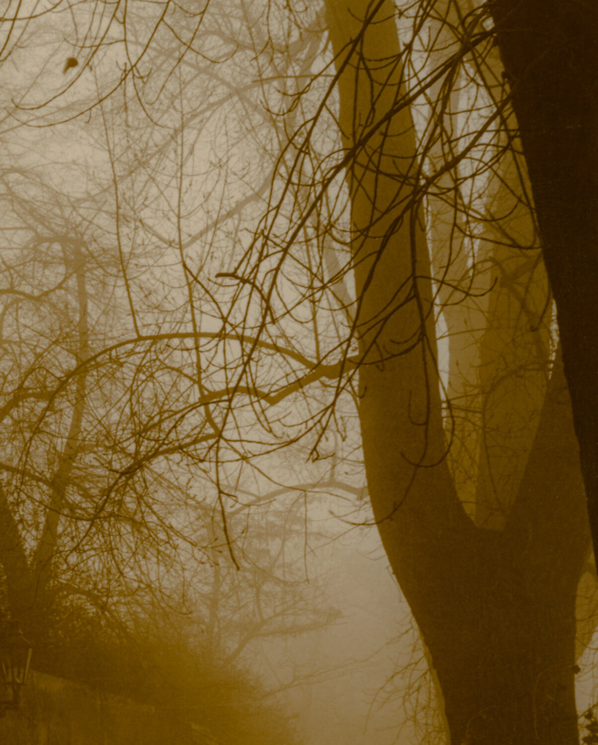 Silent Prague - Lonely Kampa, digitally restored silver gelatin print ...