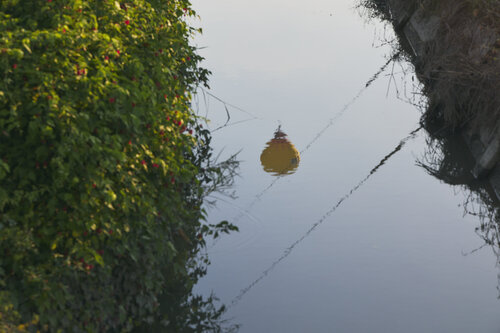 A Balloon Floating on the Water by Yuya Kogoh (2024) : Photography ...