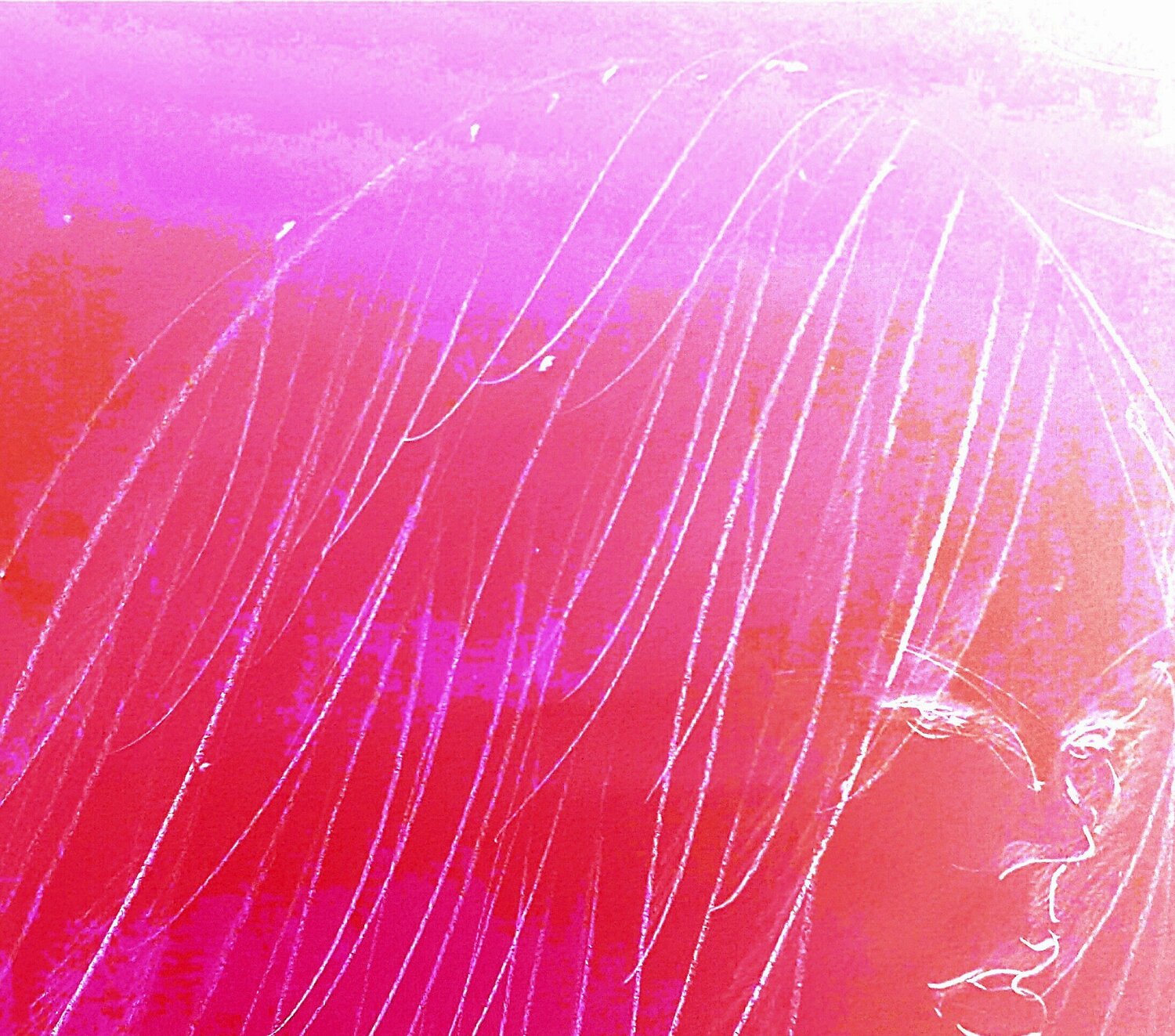 Fashion by Roger Eycott (2024) : Drawing Pencil on Paper - Singulart