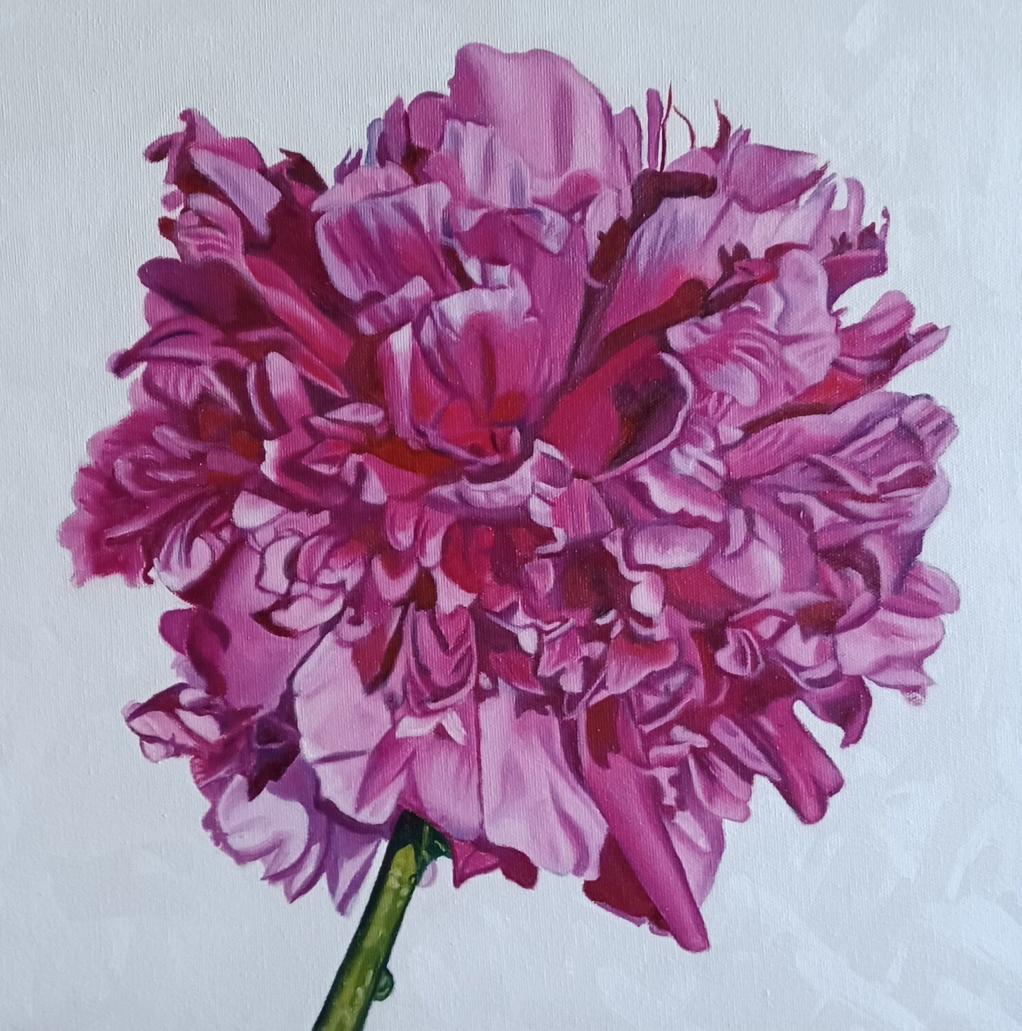 Perfectly Pink by Kimberley Cook (2024) : Painting Oil on Canvas ...