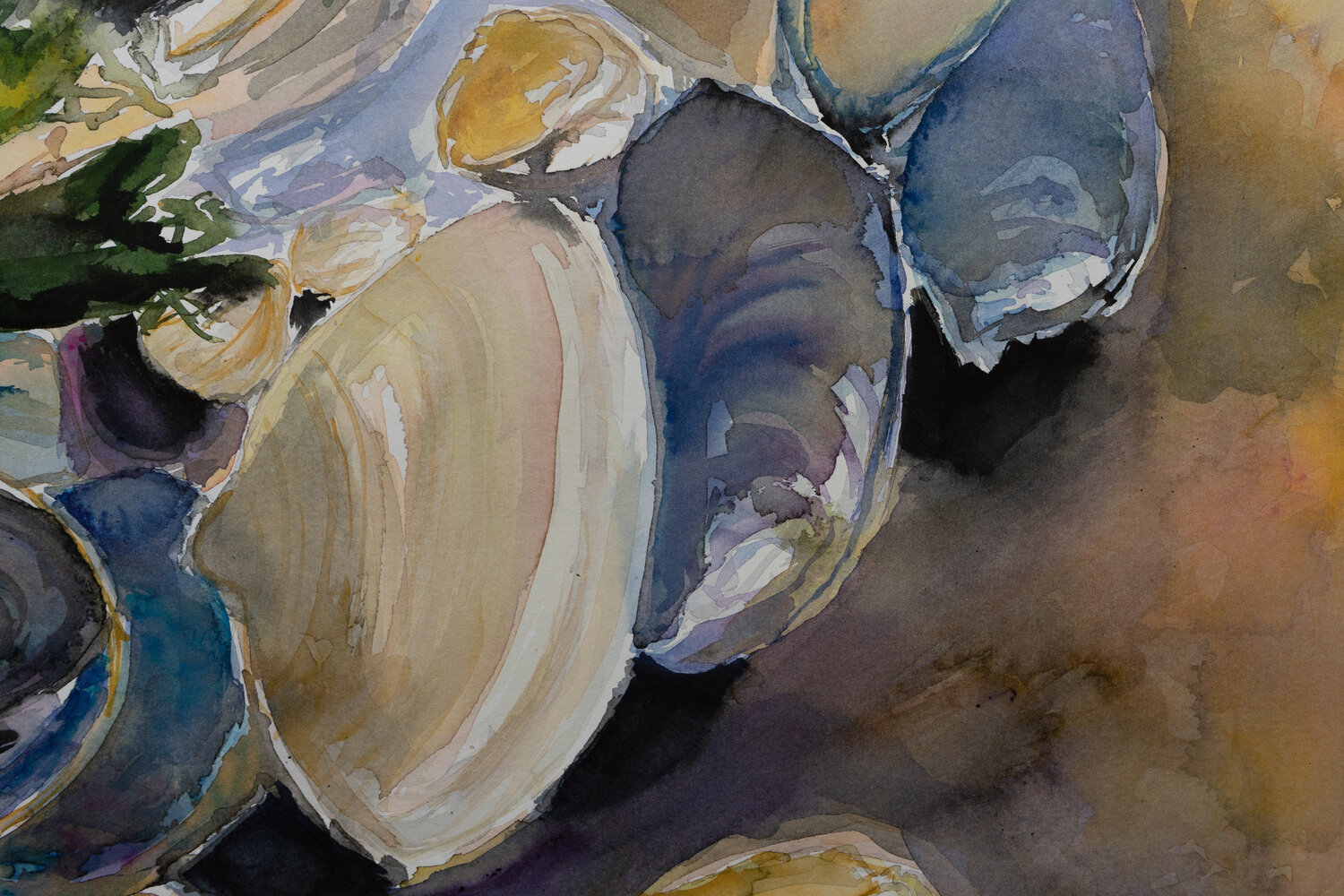 Tang, Muscheln, Flintstein und Krebsschale by Ute Meyer (2022 ...