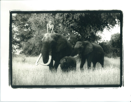 Queen of the Elephants by Stephen Wayda (1994) : Photography Analogue ...