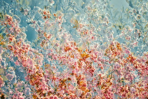 Jardin des Tuileries I de Saima Altunkaya (2019): Fotografía Digital en ...