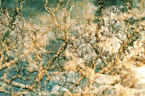 Révélation III de Saima Altunkaya (2015): Fotografía Digital en Papel ...