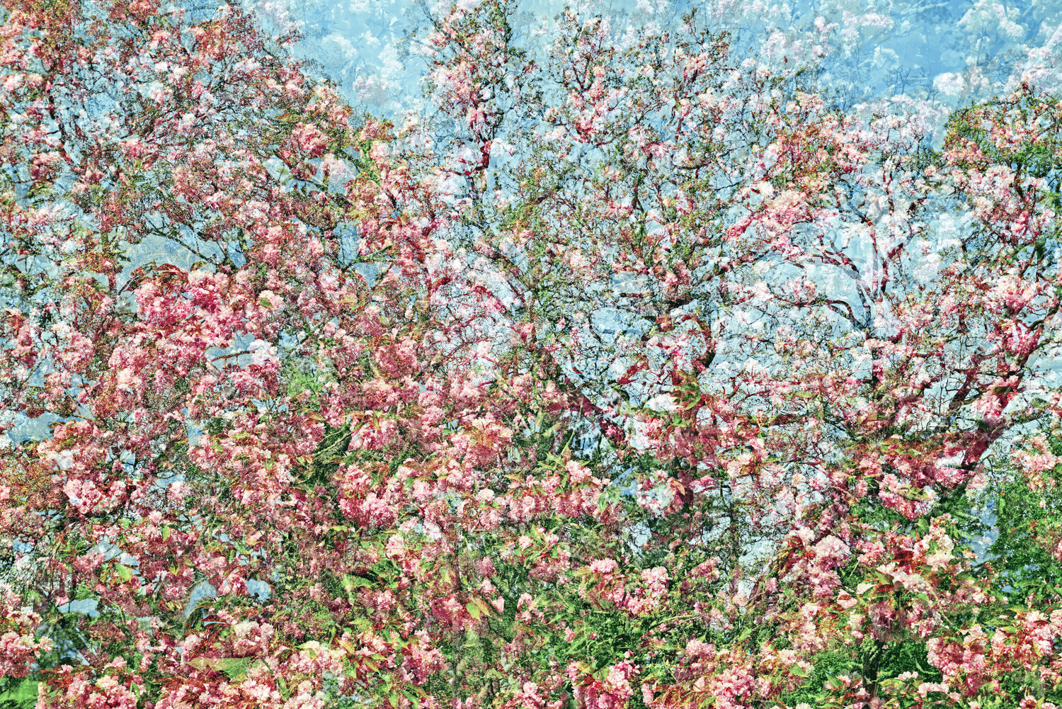 Les Jardins de Bagatelle I di Saima Altunkaya (2019): Fotografia a ...