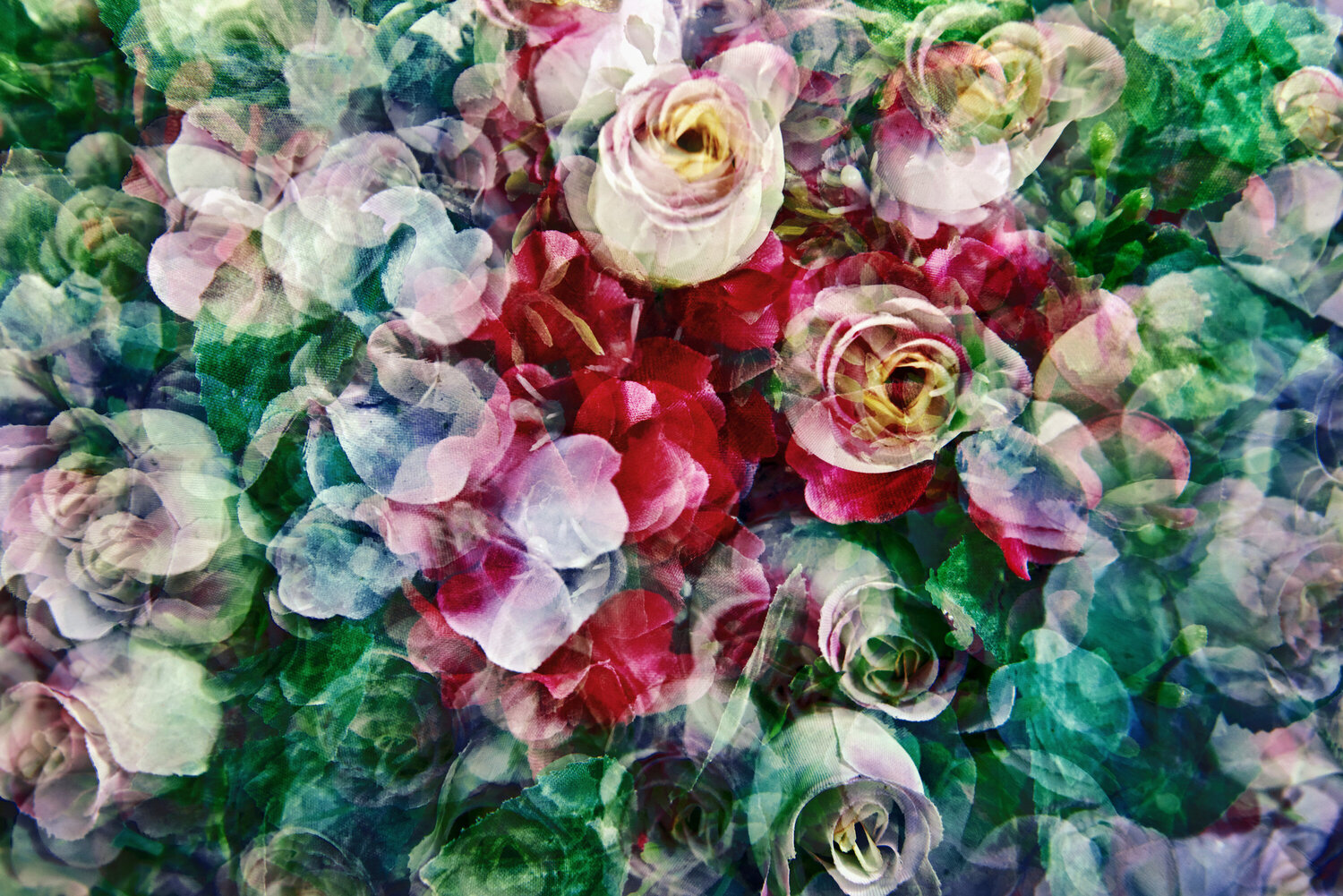 Geneviève door Saima Altunkaya (2015) : Fotografie Digitaal op Papier ...