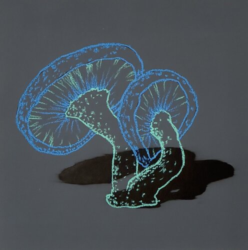Magischer Shiitake by Felix Endriss (2024) : Painting Acrylic, Pastel ...