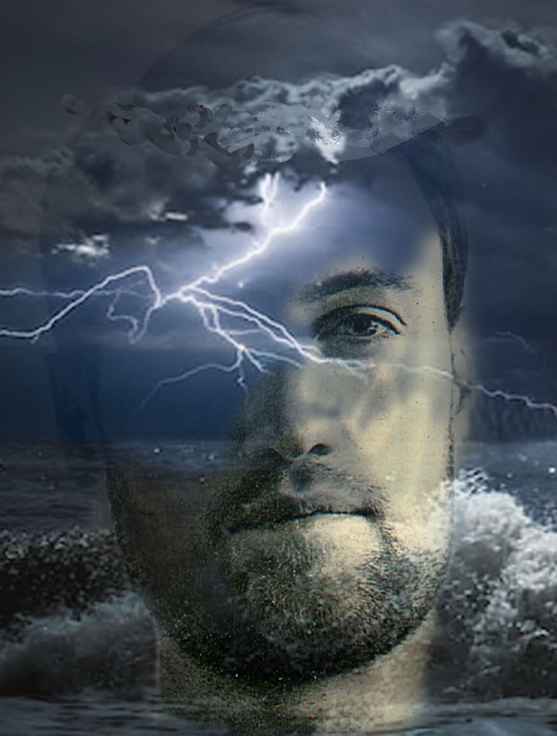 Passport de David Kingham (2016) : Digital Digital sur Plexiglas ...