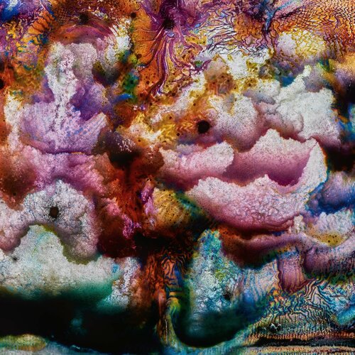 Modern Photography for Sale - SINGULART