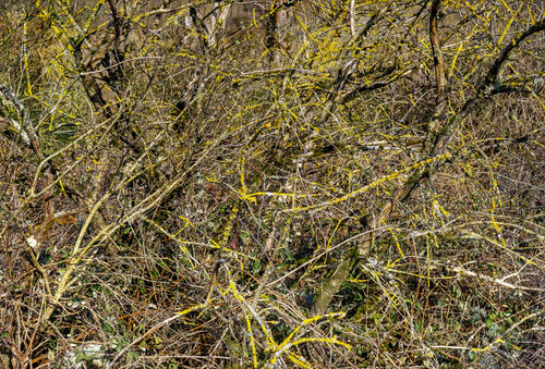 La all-over de Jackson Pollock de Nicolas Lespagnol (2019): Fotografía ...