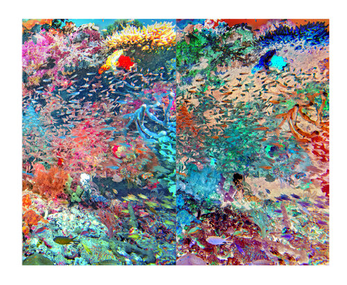 les contraires sont vrais (opposite are true) - flore sous marine 2/12 ...