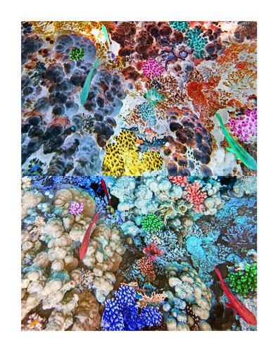 les contraires sont vrais (opposite are true) - flore sous marine 3/30 ...