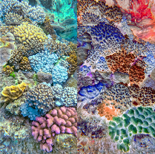 les contraires sont vrais (opposite are true) - flore sous marine 1/12 ...