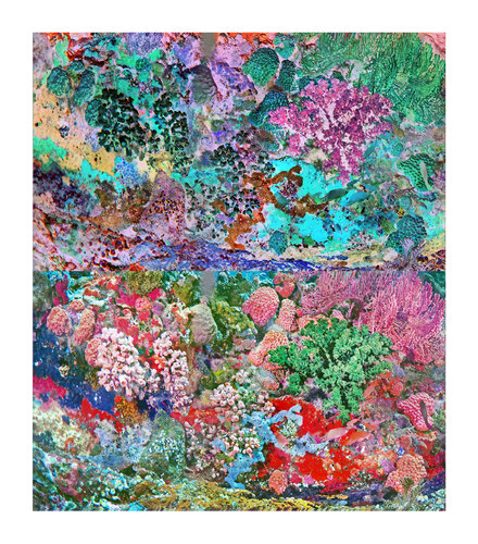 les contraires sont vrais (opposite are true) - flore sous marine 3/30 ...