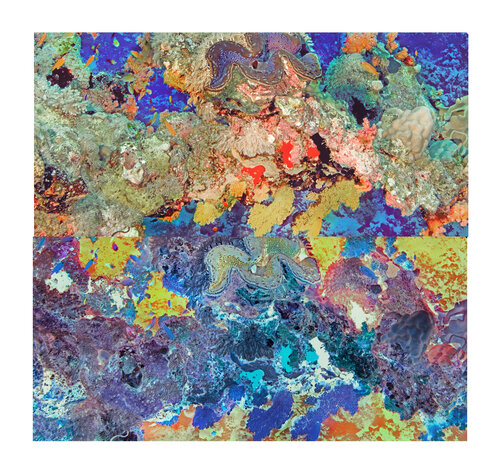 les contraires sont vrais (opposite are true) - flore sous marine 3/30 ...