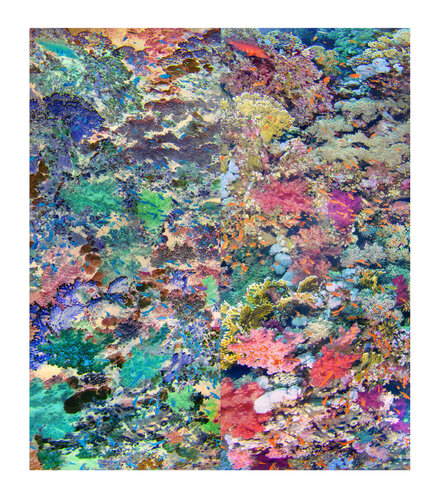 les contraires sont vrais (opposite are true) - flore sous marine 3/30 ...