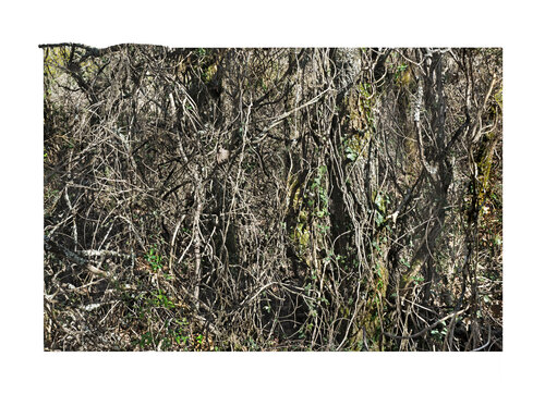 La all-over de Jackson Pollock de Nicolas Lespagnol (2019): Fotografía ...