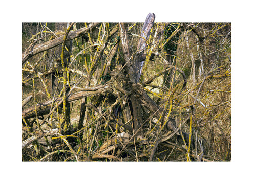 La all-over de Jackson Pollock de Nicolas Lespagnol (2019): Fotografía ...