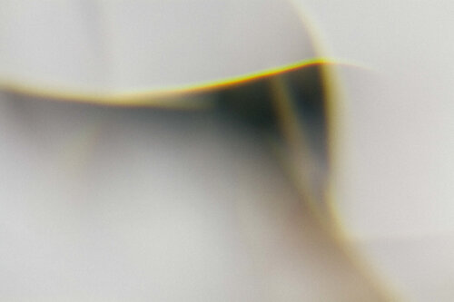 juwel I de Jonas Schubert (2015): Fotografía Digital en Papel - Singulart