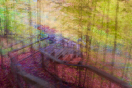 Rain and Fall. Canada © Motty Levy de Motty Levy (2023) : Photographie ...