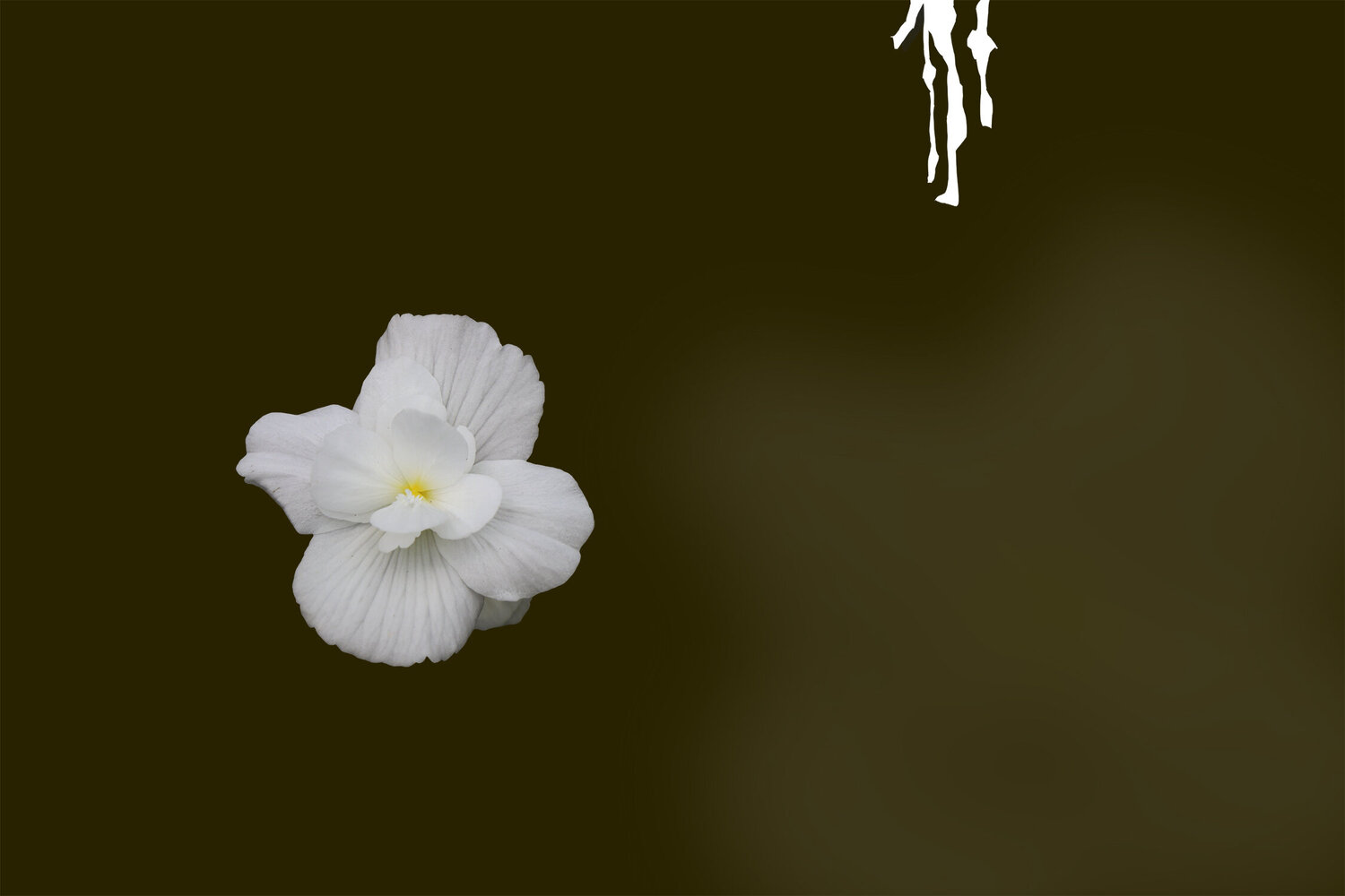 Fractures Fertiles – Les Flux de l’Invisible — Dérive by Eric Koninckx ...