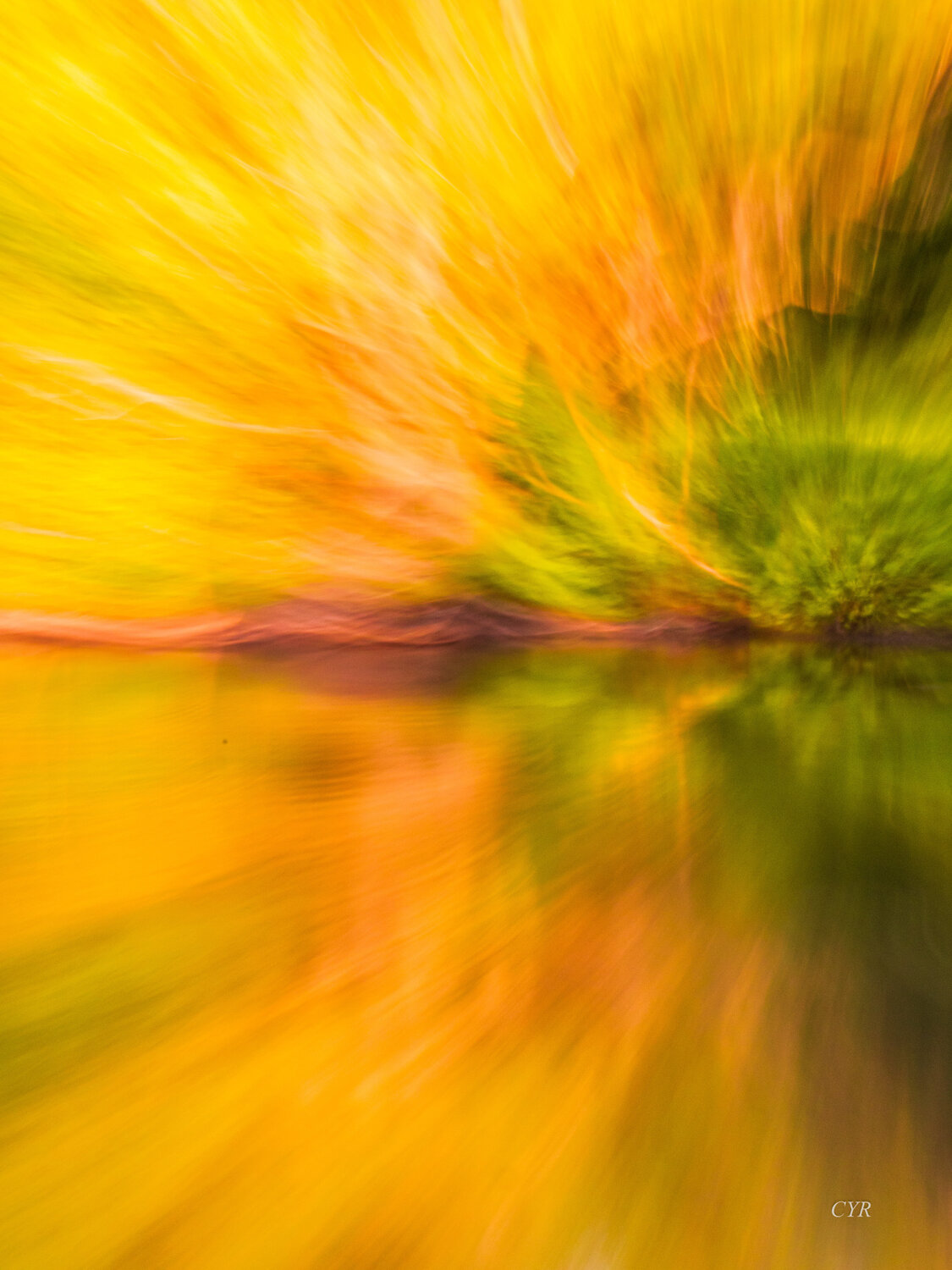 Métamorphose de Pierre Cyr (2018): Fotografía Digital en Metal - Singulart