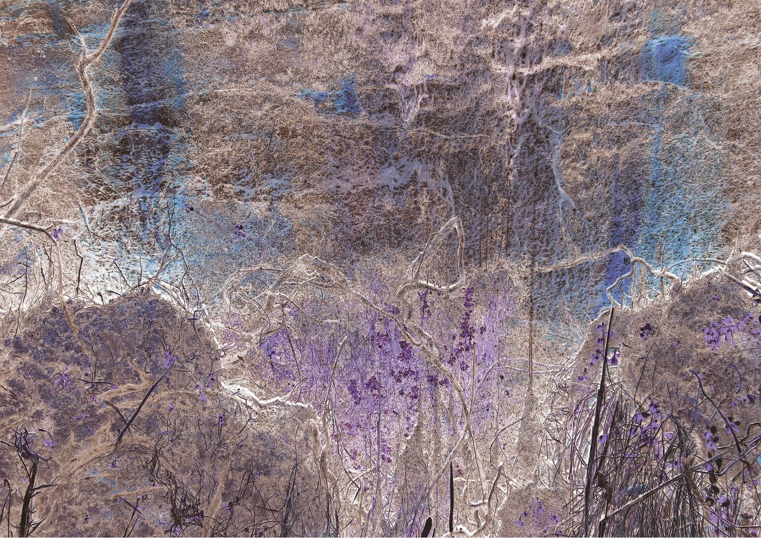 Dystopian landscape 2 de Niki Hill (2017) : Photographie Digital sur ...