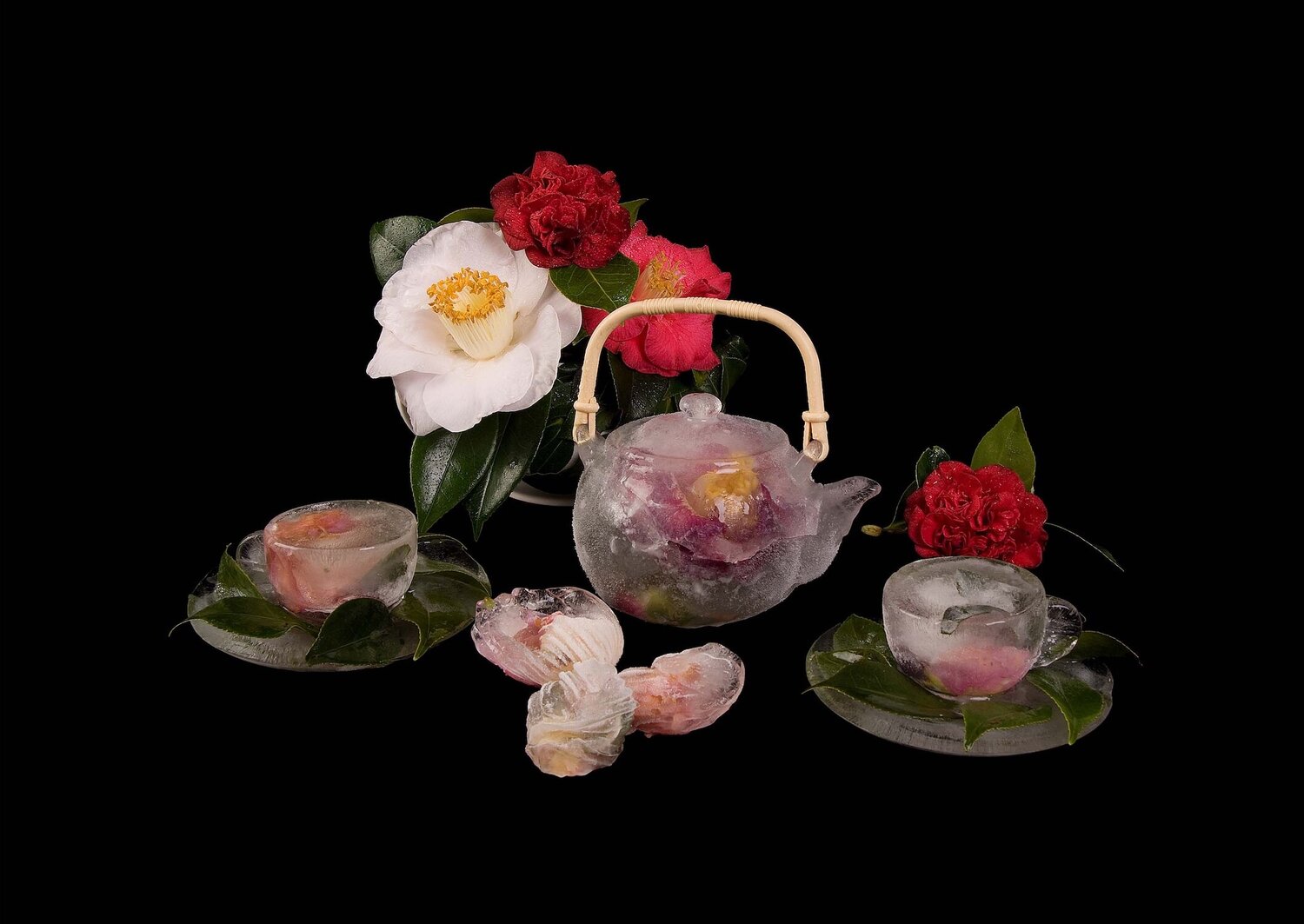 Camellia Ice Tea by Niki Hill (2014) : Photography Digital on Paper ...