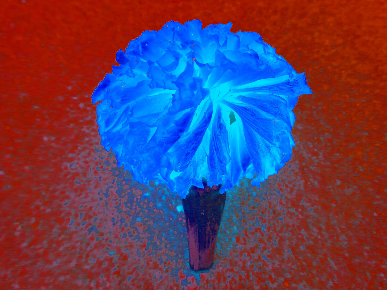 MARIGOLD OFFERING FLOWER TO THE GODDESS OF WATER, darker blue,130 X 174 ...