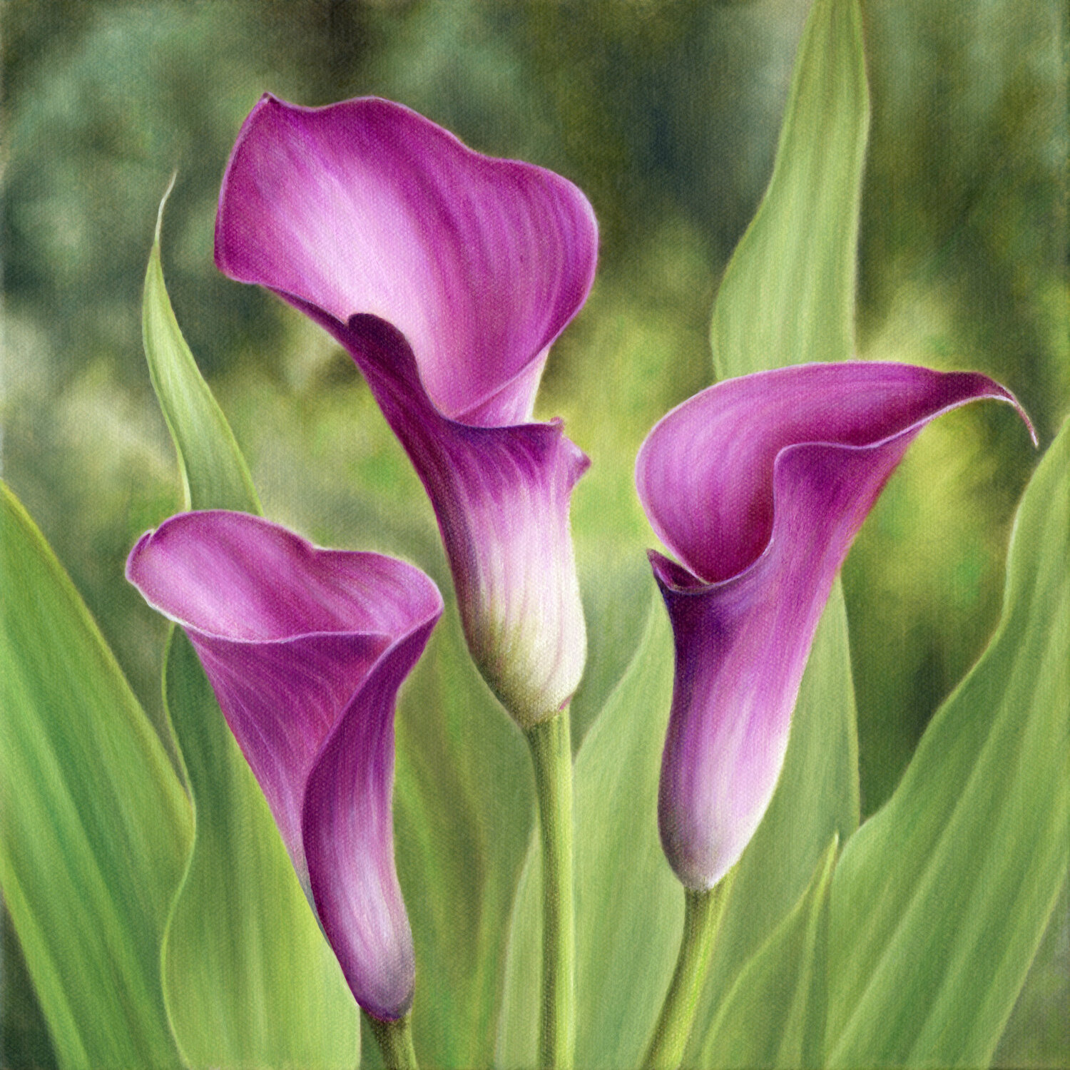 Famous Calla Lily Painting