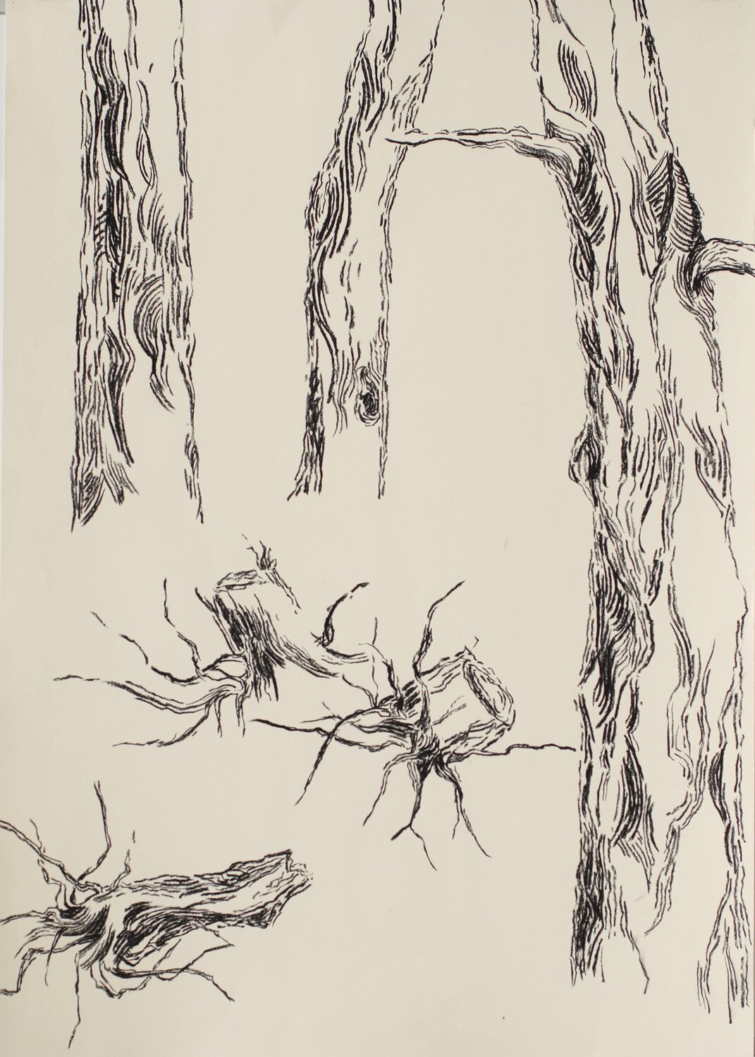 ohne Titel by Donata Oppermann (2017) : Drawing Charcoal on Paper ...